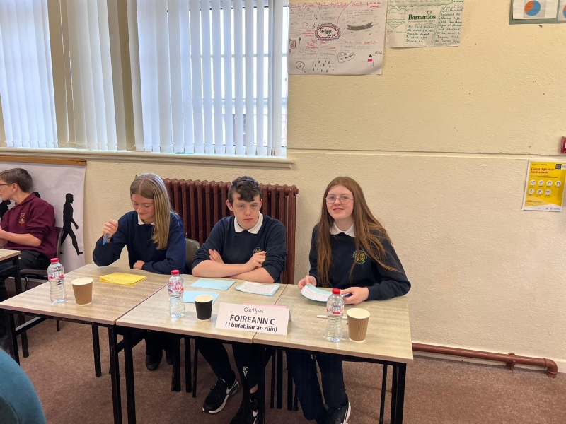 Coláiste Naomh Feichín
